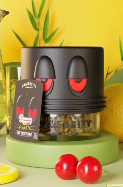 Premium THC, Seeds, Gummies & Mushrooms - Trap University