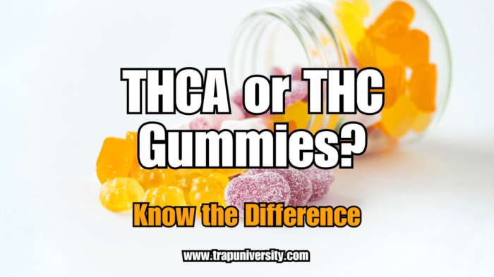 🌿 THC vs THCA: Key Differences and Effects Explained - Trap University