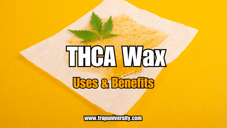 🌿 THC vs THCA: Key Differences and Effects Explained - Trap University